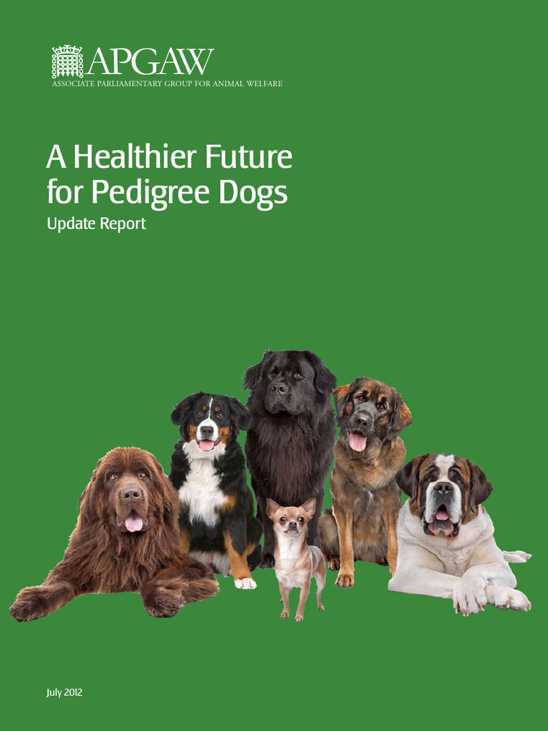 A Healthier Future For Pedigree Dogs - Cavalier Campaign | PDF | Dog ...