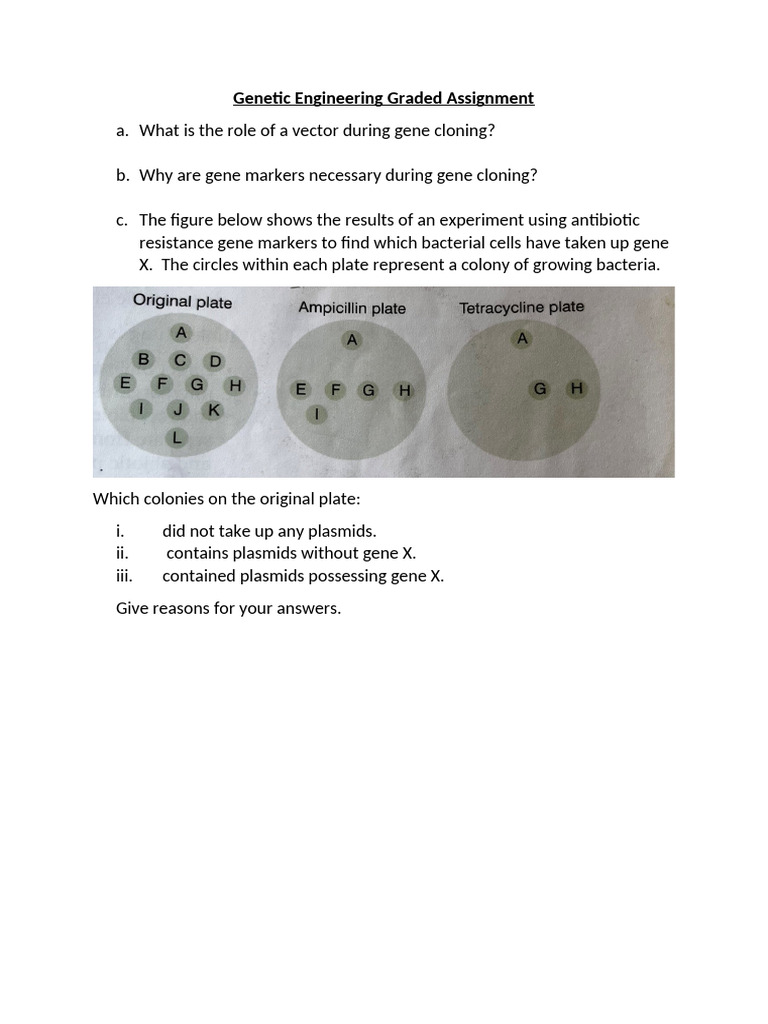 Assignment 3 - Aspects of Genetic Engineering | PDF
