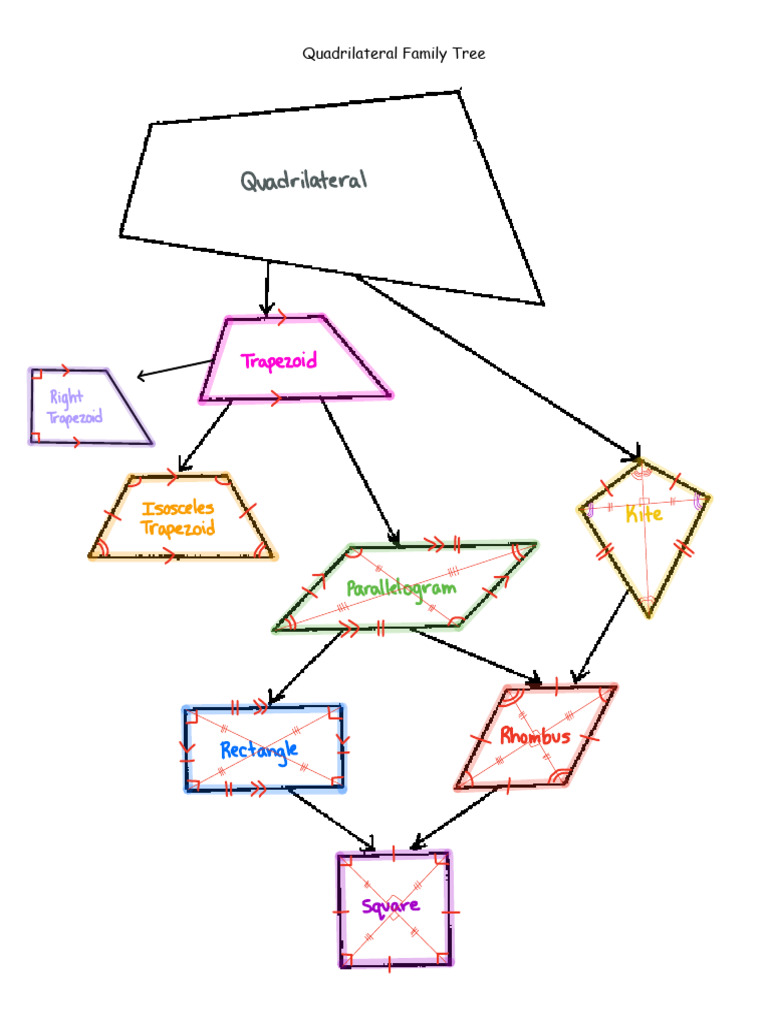 4.11 Quadrilateral Family Tree | PDF