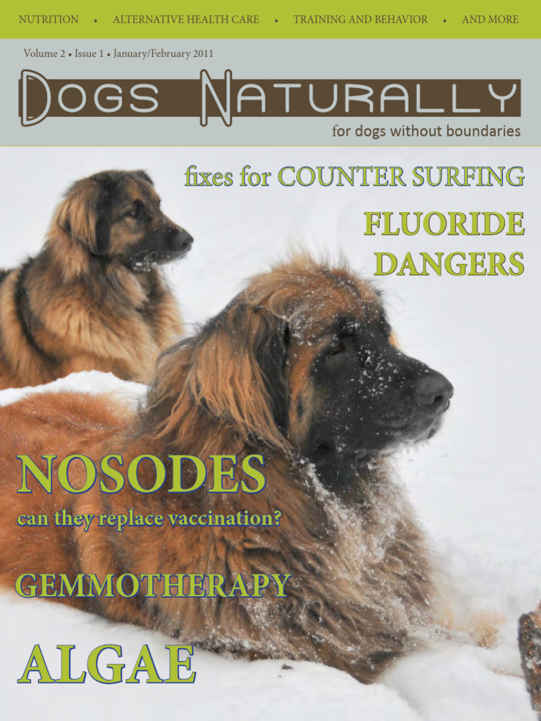 January - February 2011 - Dogs Naturally Magazine | PDF | Omega 3 Fatty ...