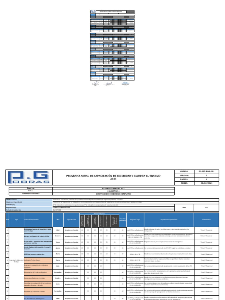 PG-SST - Programa Anual de SST 2024-2025 | PDF | La seguridad | Business
