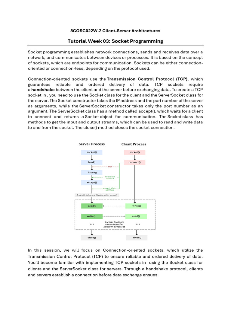 Tutorial Week03 Socket Programming 2025 | PDF | Network Socket ... Tutorial Week03 Socket Programming 2025 | PDF | Network Socket ...