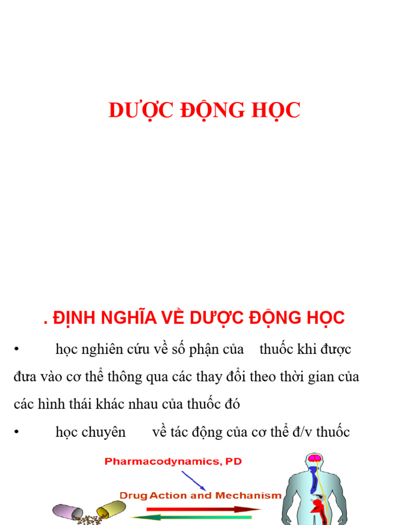 Duoc Dong hoc-DD2023 | PDF