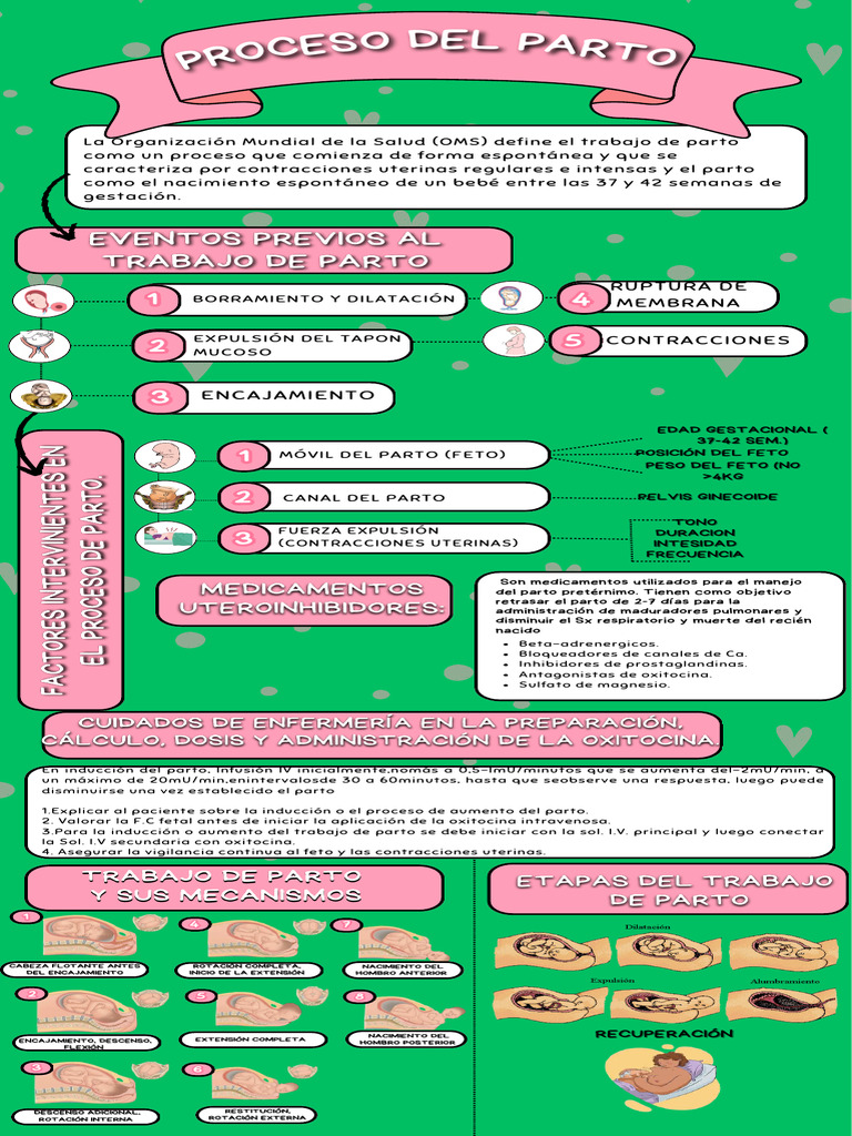 infografia etapas del parto | PDF | Parto | La salud de la mujer