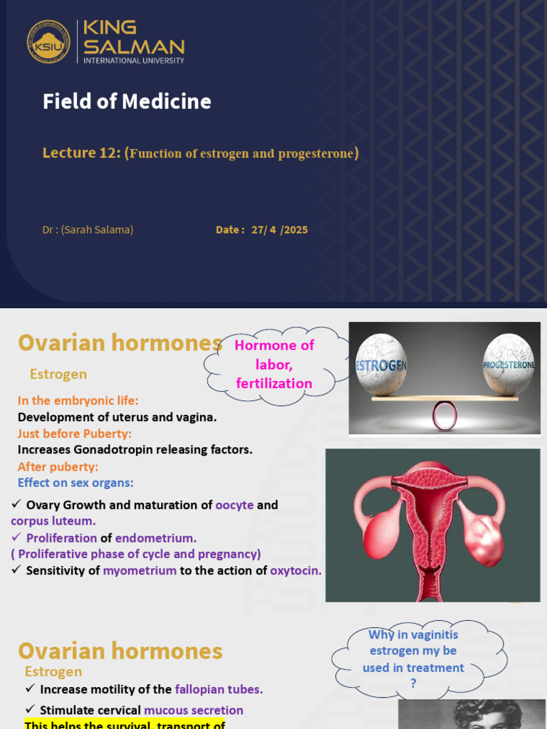 Function of Estrogen and Progesterone | PDF | Ovary | Menstrual Cycle