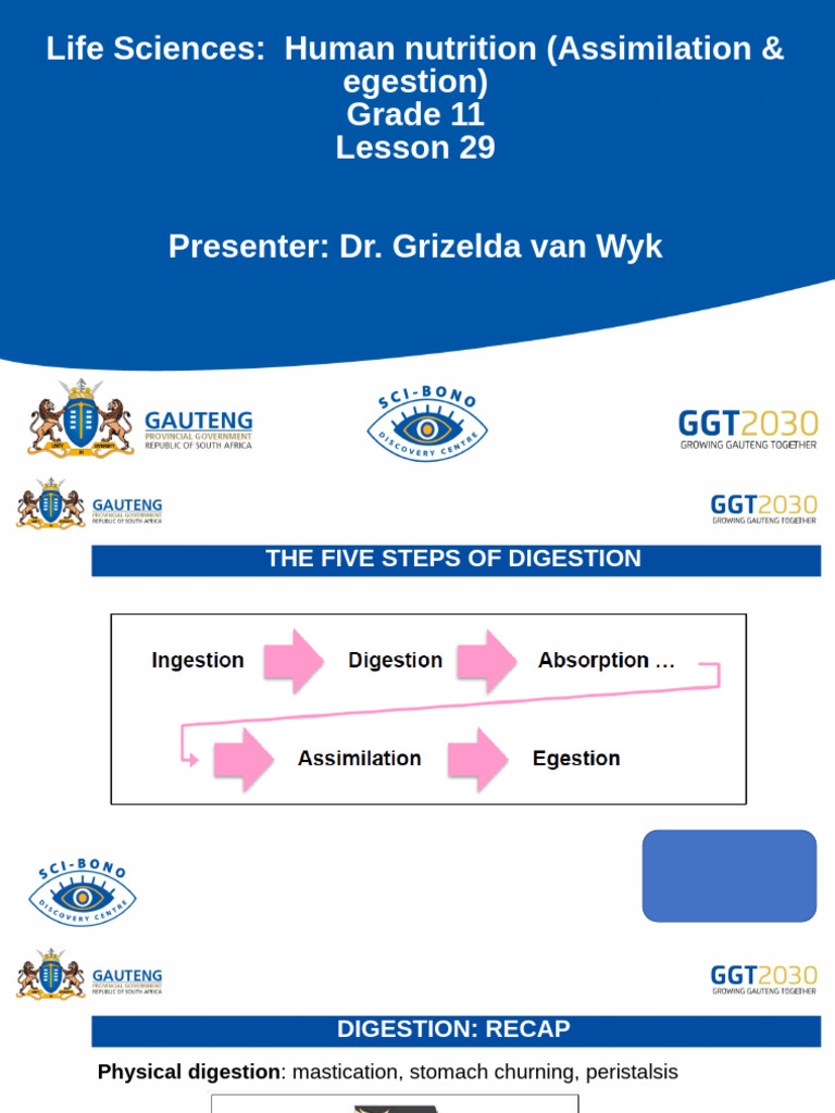 Life Sciences Gr.11 Lesson 29 Human Nutrition (Assimilation & Egestion ...