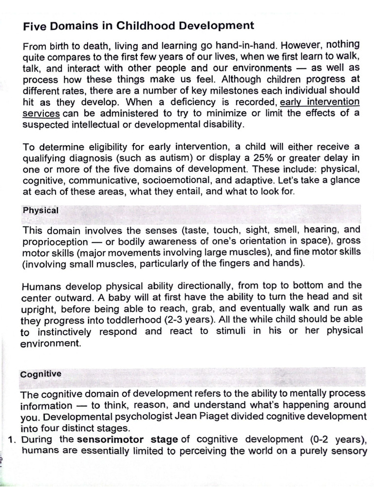 BSE4219 Introduction To Special Education ??? Lecture? Notes (??????) | PDF