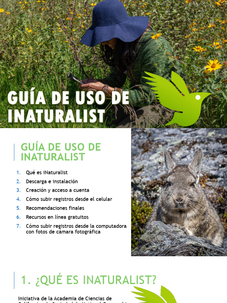 Uso de La App Inaturalist | PDF | Android (sistema operativo) | Aplicación movil