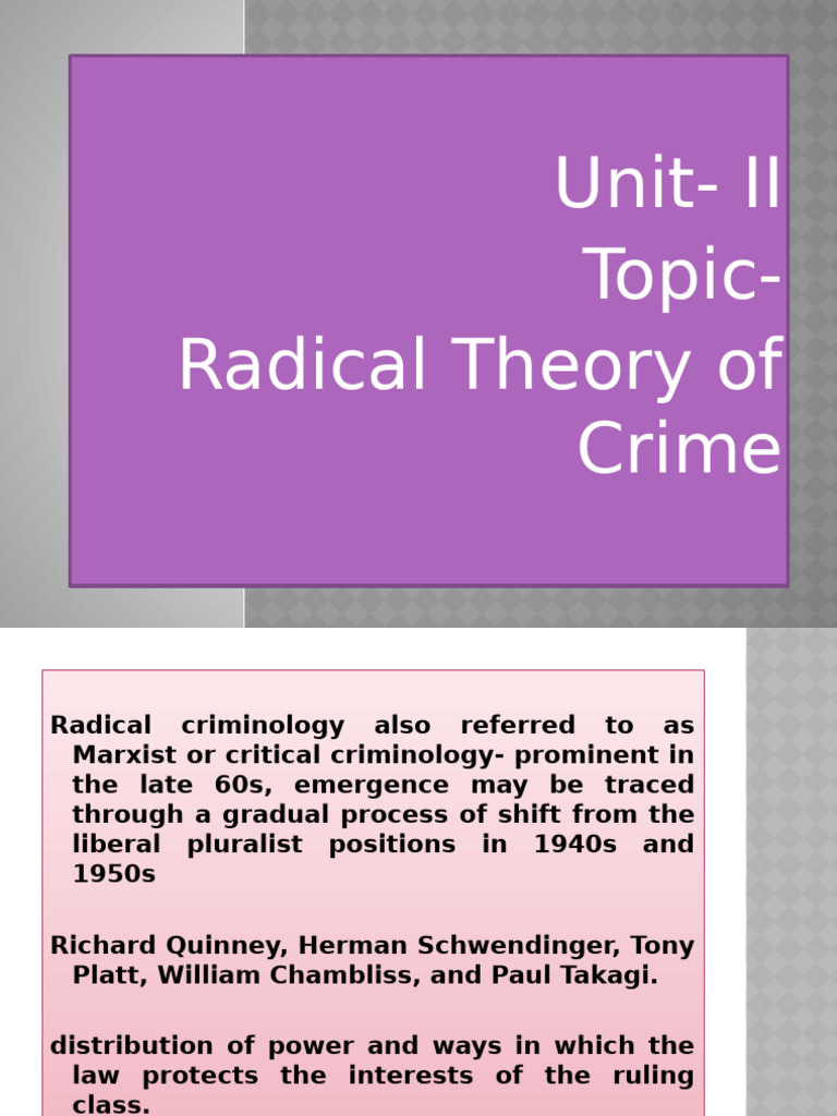 Radical Theory of Crime Explained | PDF