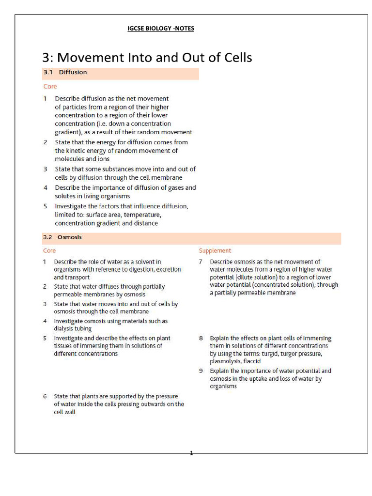 3 Movement | PDF