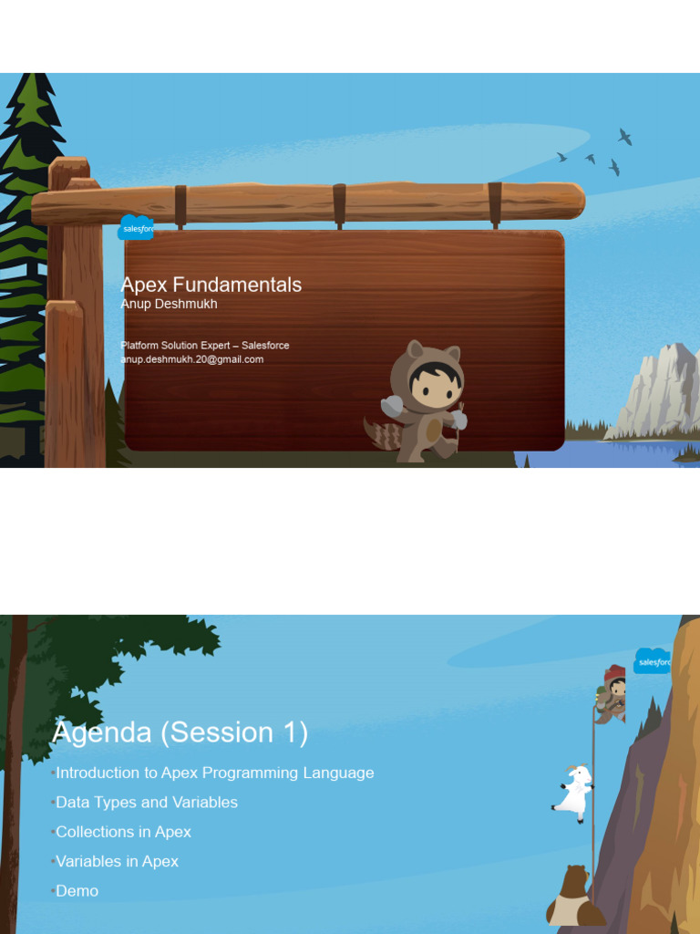 Apex Fundamentals - Complete | PDF | Class (Computer Programming) | Method (Computer Programming)