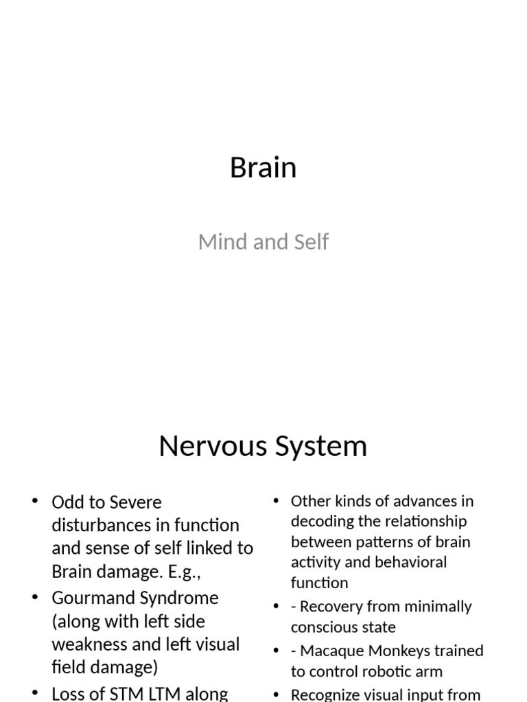 Understanding Brain Function and Structure | PDF | Synapse ...