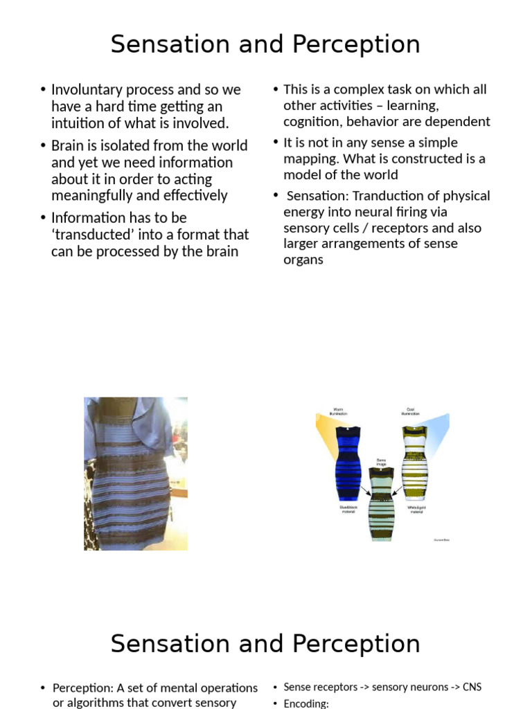 Human Behavior 8 Sensation and Perception | PDF | Senses | Perception