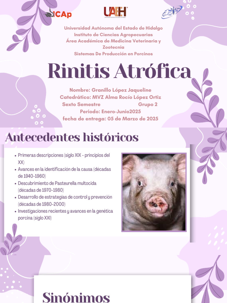 Rinitis Atrófica | PDF | Neumonía | Infección
