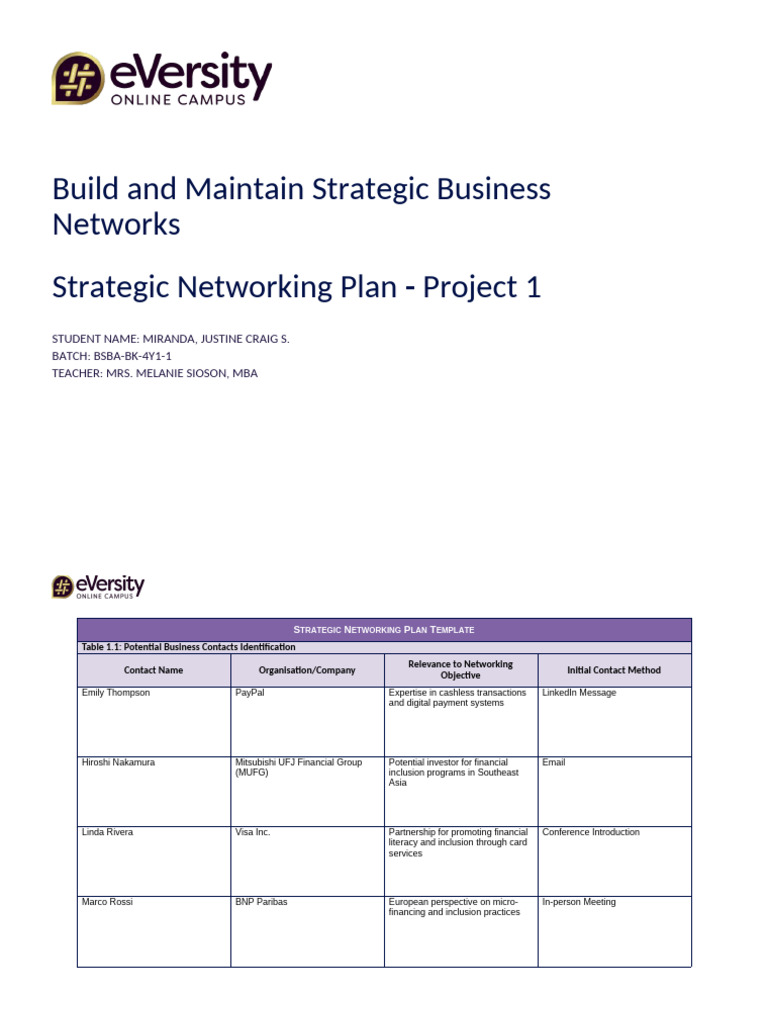 Strategic Networking Plan Template | PDF
