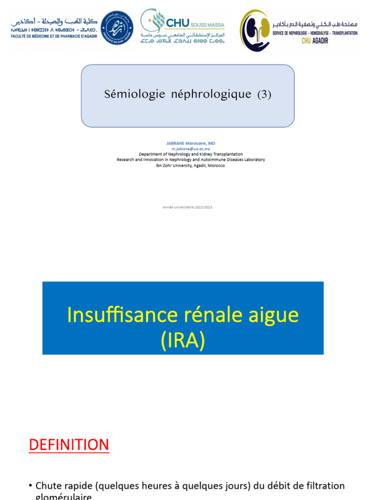 Insuffisance rénale : diagnostic et traitement | PDF | Rein | Maladies ...