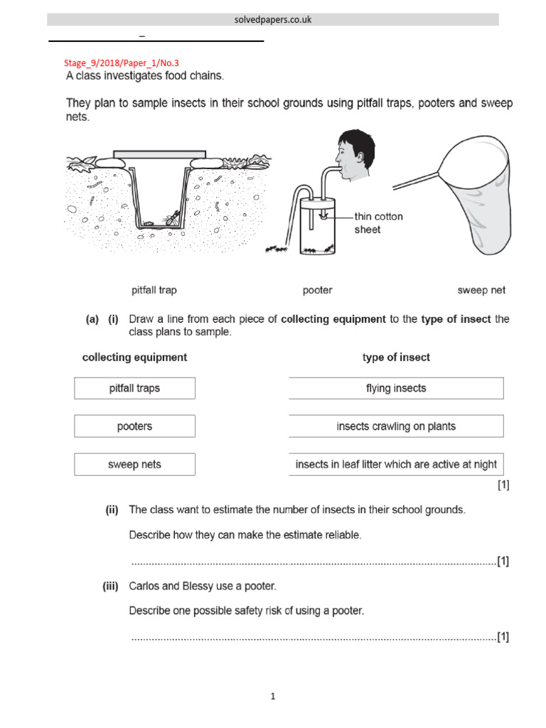 2022 14 Food and Digestion Checkpoint Sec 1 Biology Progression | PDF