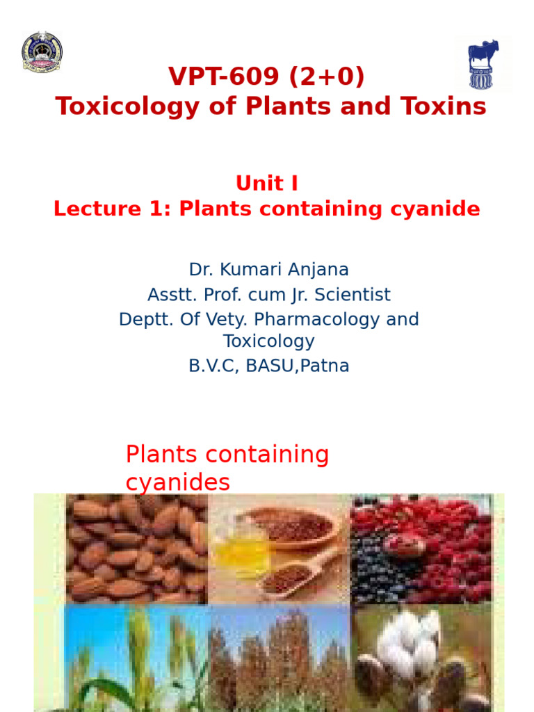 Unit_I-_Lecture_1._Plants_containing_cyanides | PDF | Cyanide ...