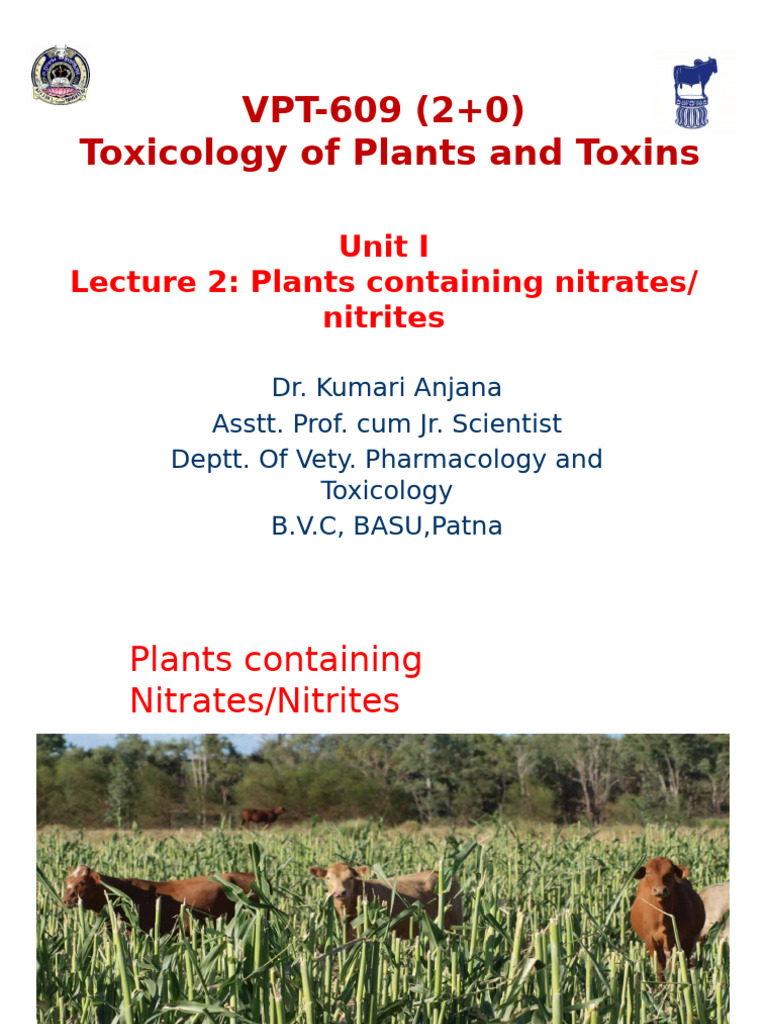 Unit I - Lecture 2. Plants Containing Nitrate or Nitrite | PDF ...