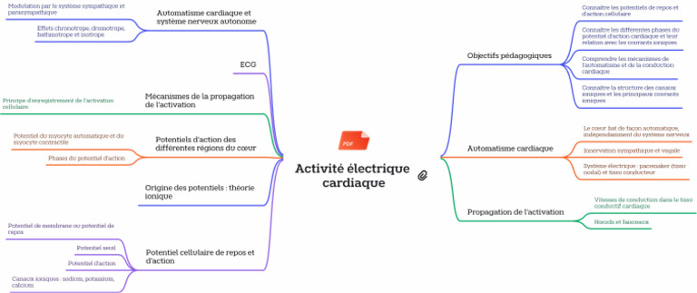 Potentiel d'Action Cardiaque et Automatisme | PDF | Potentiel d'action ...