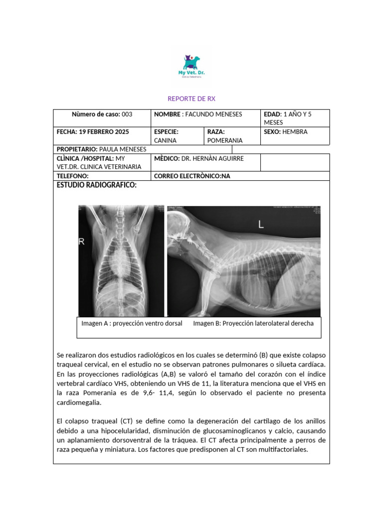 Informe Facundo | PDF