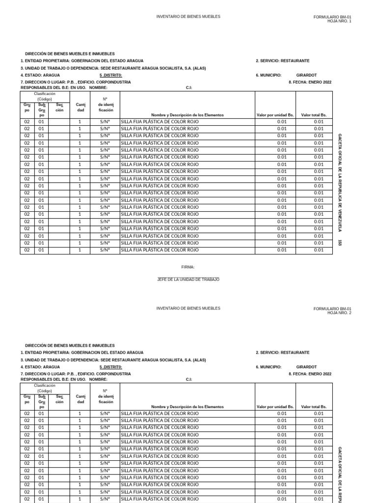 Formatos Bm1, Bm2, Bm3 | PDF
