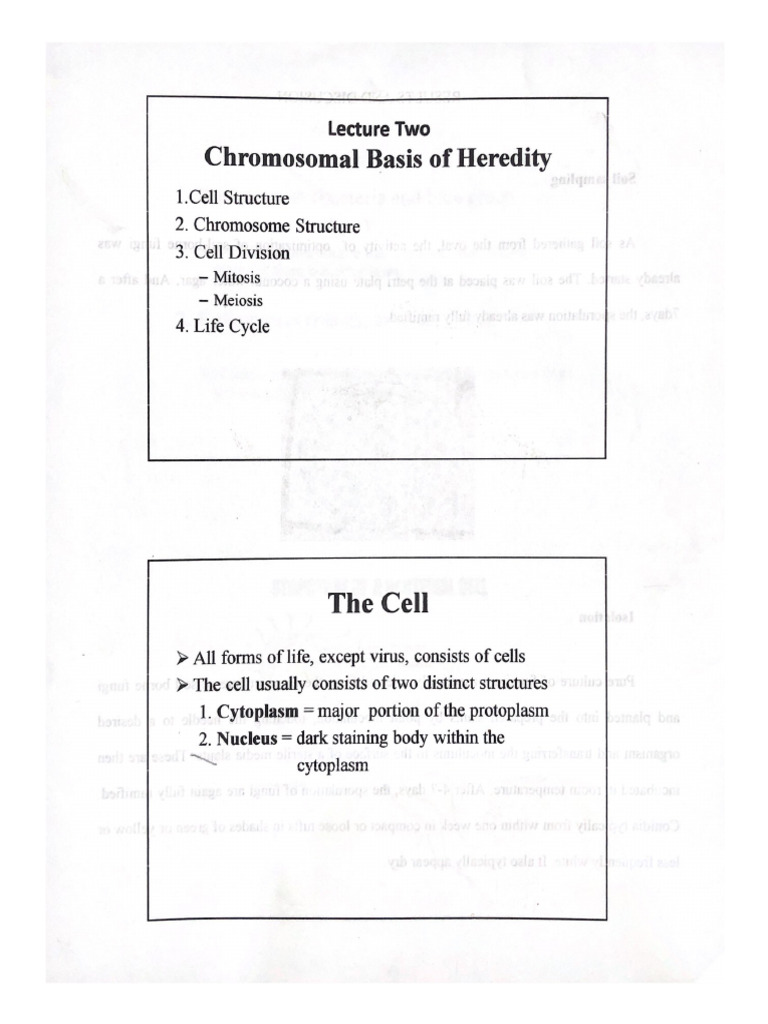 Lecture 2 Human Genetics | PDF