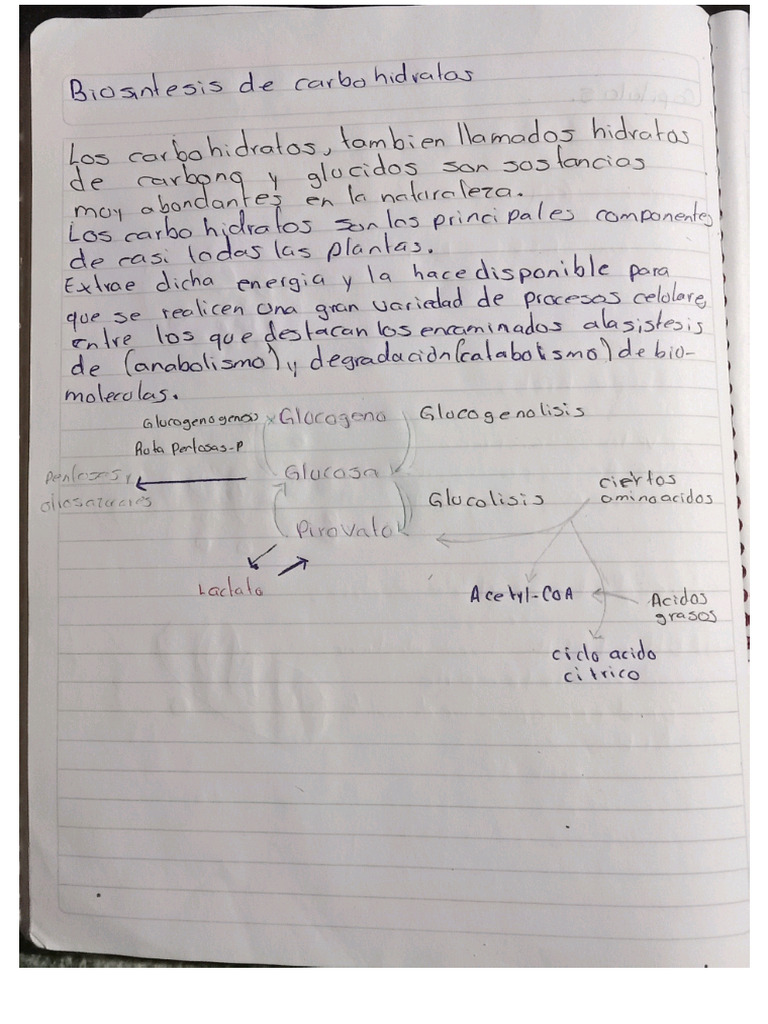 Actividad.11 Esquema | PDF