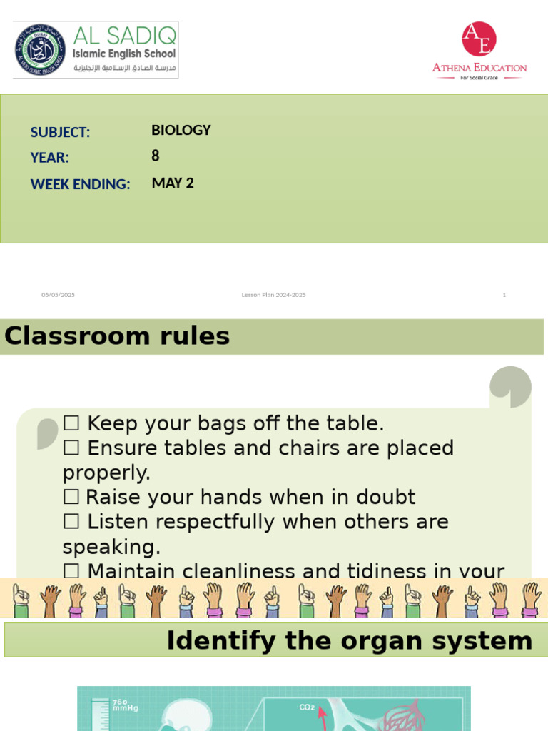 Lesson 1 Gas Exchange | PDF | Respiratory System | Breathing