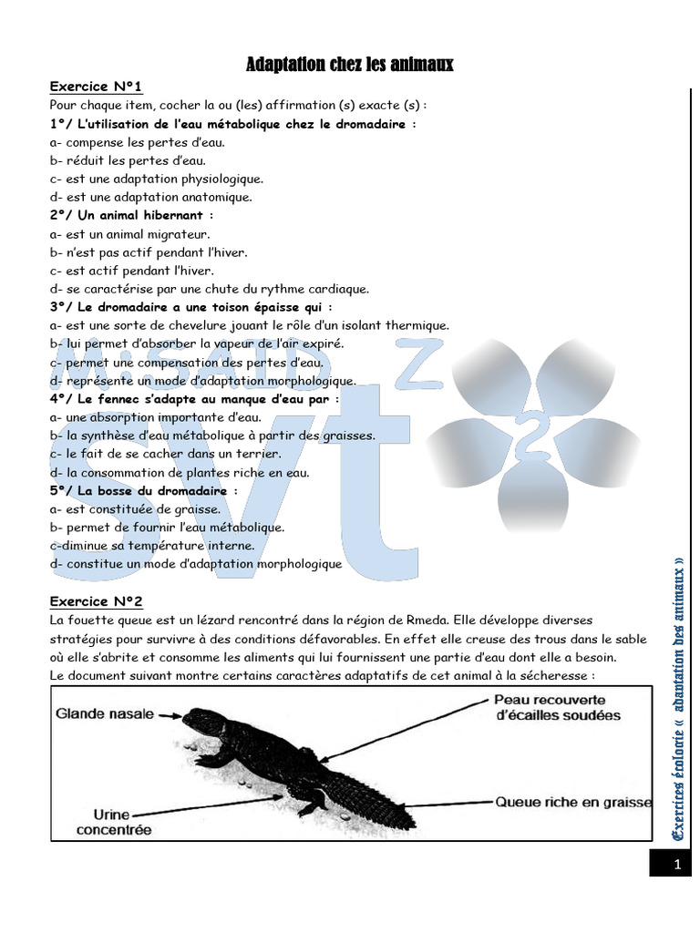 exercices-Adaptation-chez-les-animaux | PDF | Sueur | Eau