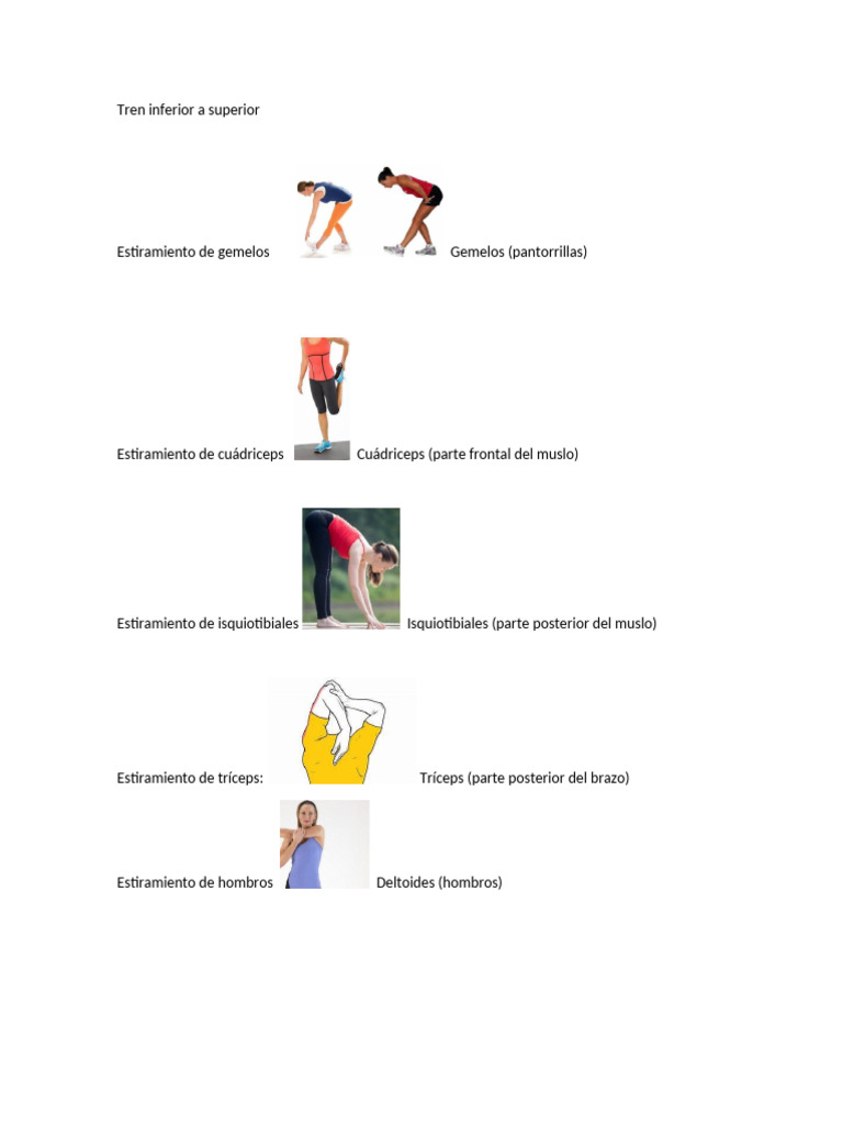 Tren Inferior A Superior | PDF