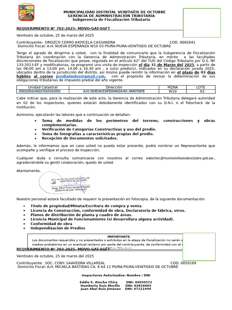 Formato Requerimiento 2025 | PDF | Impuestos | Argentina