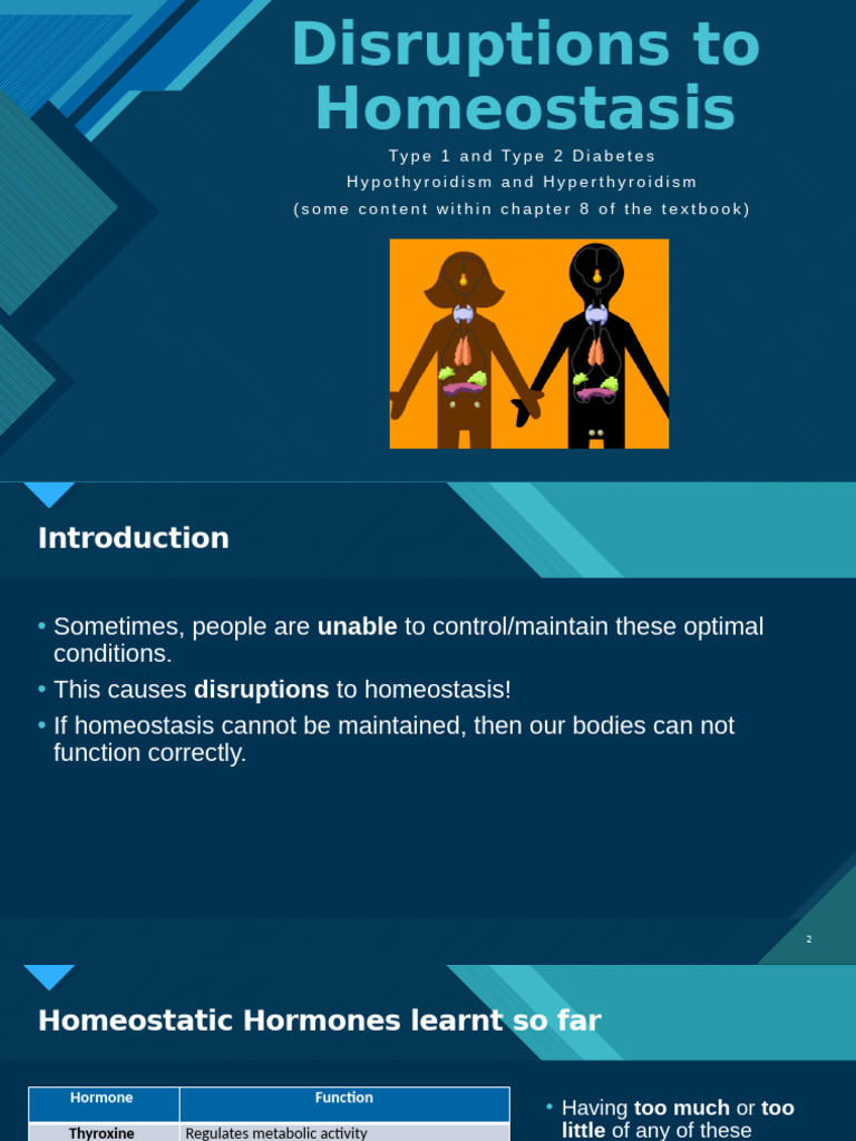 6 - Disruptions To Homeostasis | PDF | Thyroid | Homeostasis