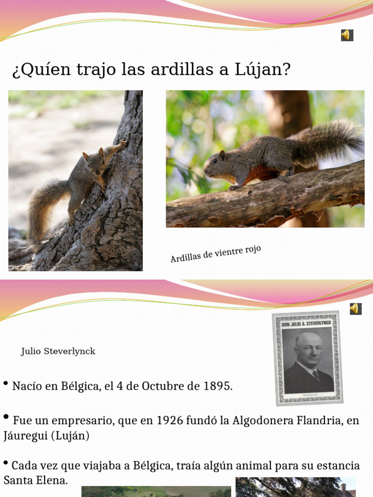 Projecto Sobre Las Ardillas | PDF