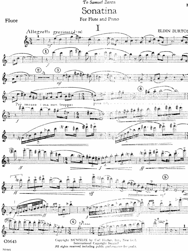 Burton - Flute Sonatina - Flute Part | PDF
