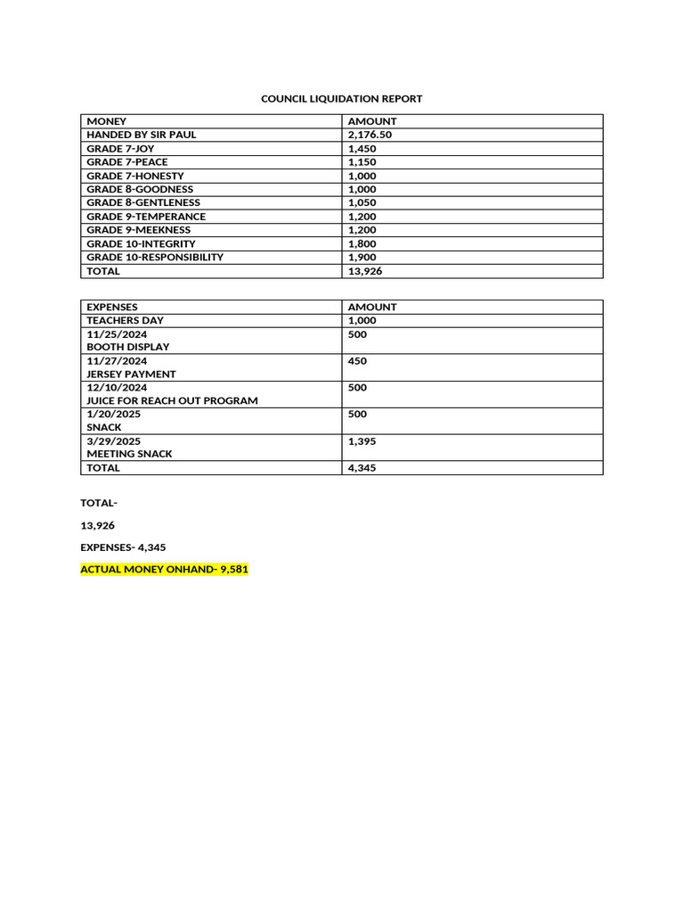 Council Liquidation Report | PDF