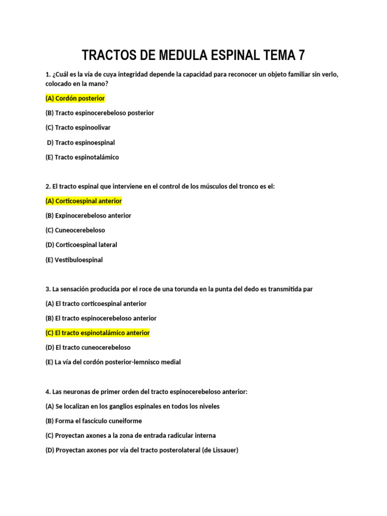 Tractos y Lesiones de Médula Espinal | PDF | Neuroanatomía | Sistema ...