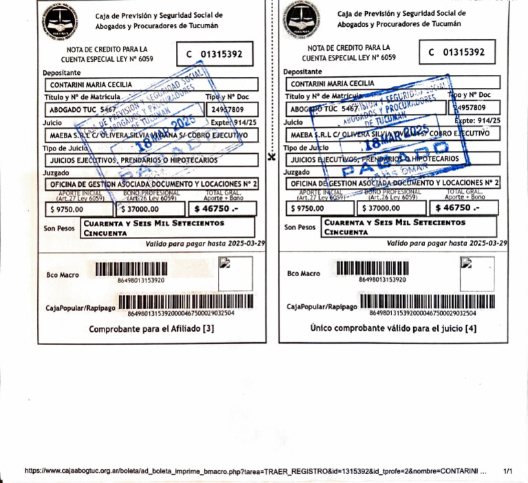 Aporte Olivera Silvia | PDF