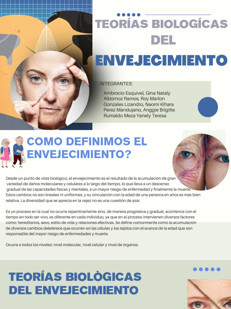 tEORÍA DEL ENVEJECIMIENTO | PDF | Envejecimiento | Adn