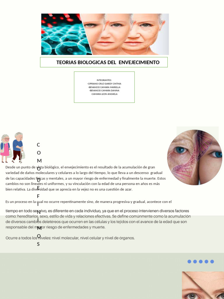 tEORÍA DEL ENVEJECIMIENTO 2.docx | PDF | Envejecimiento | Adn