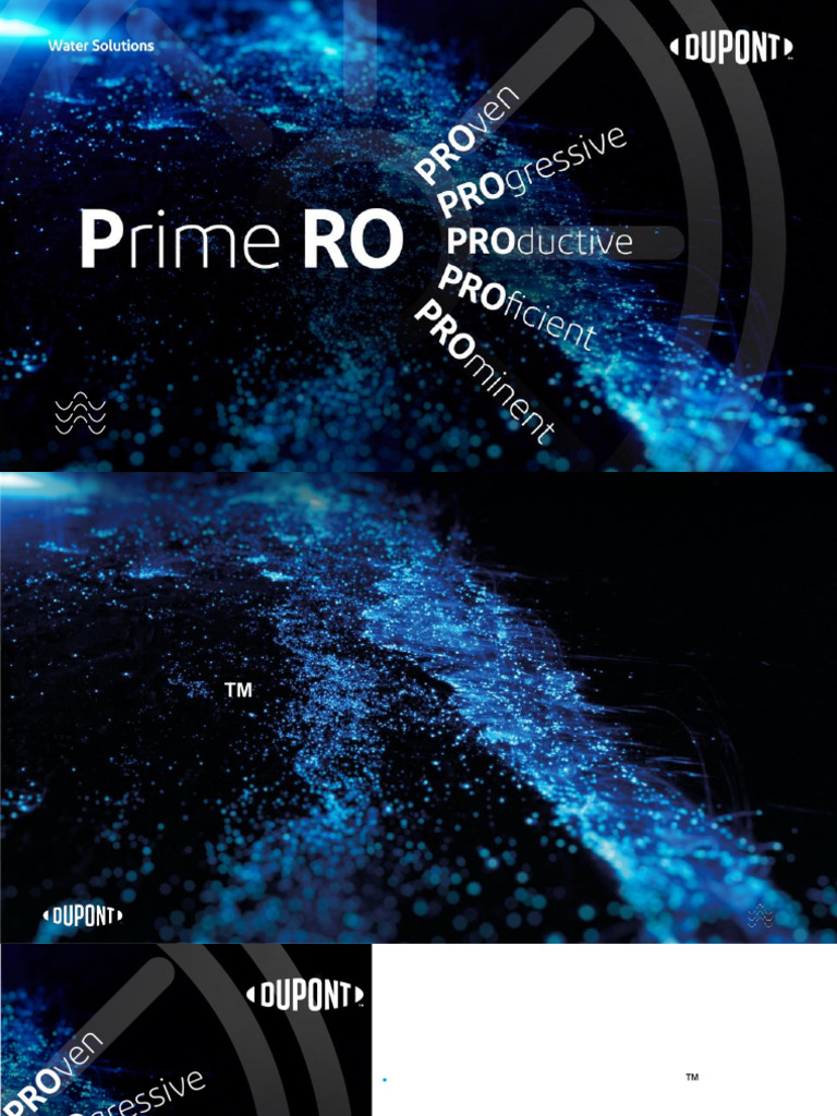 Prime RO Portfolio - Introduction LAR External | PDF