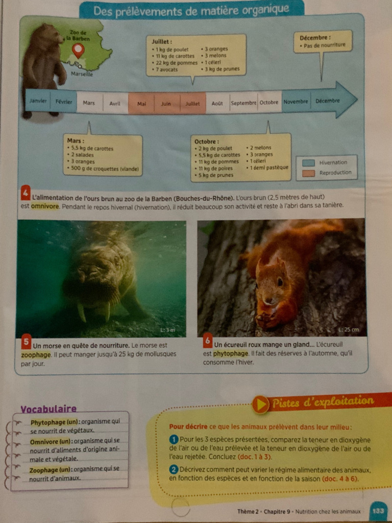 5eme Th2 Chap1 docExo1’ | PDF