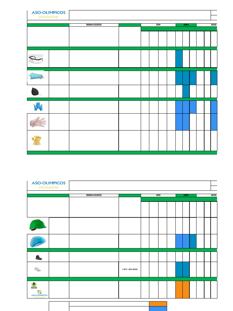 Matriz de Epp 2025 | PDF | Caucho natural
