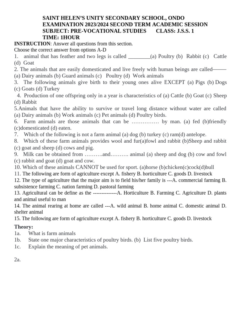 JSS One Questions Secon Term Examination | PDF