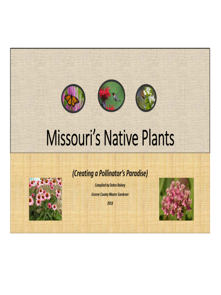 2018 07 19 Missouri Native Plants DebraRainey Screen | PDF | Botany ...