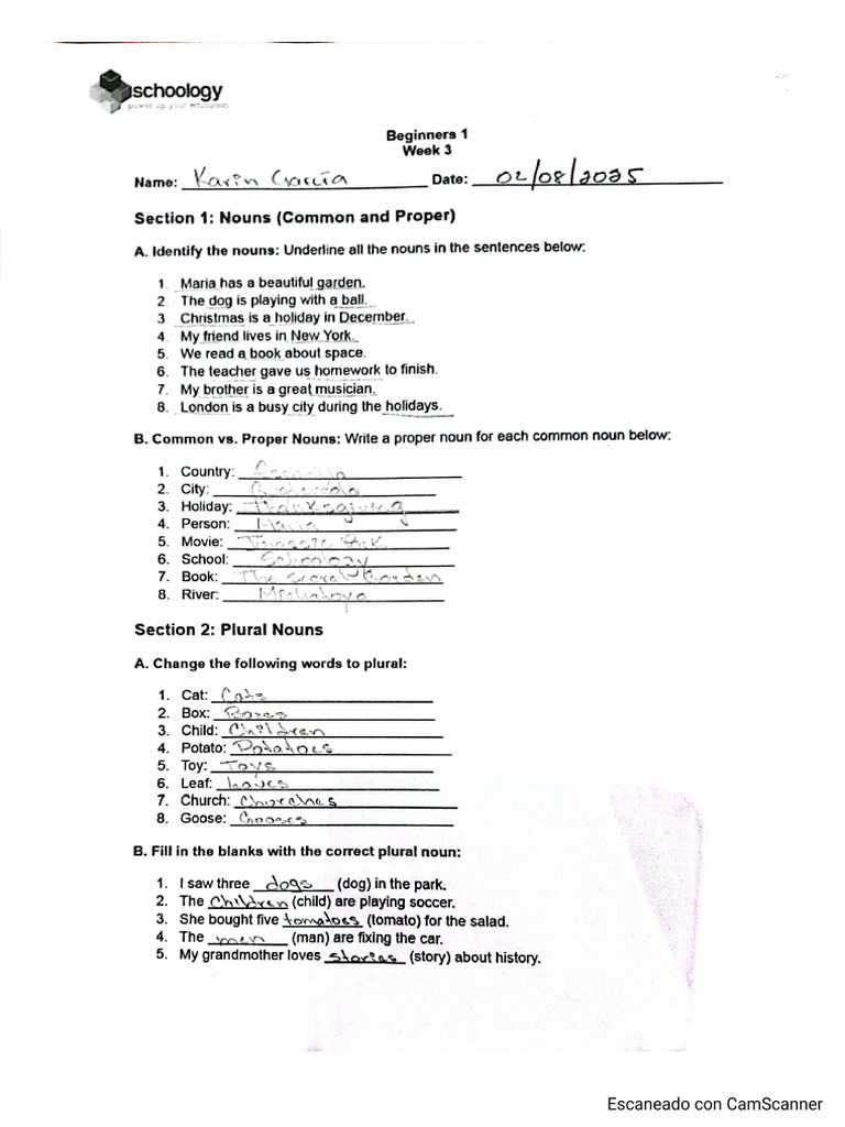 Week 3 Worksheet Pdf