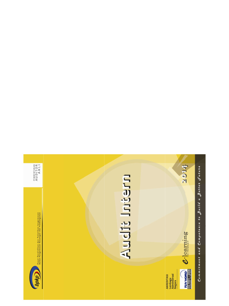 Modul Kuning Audit Intern | PDF