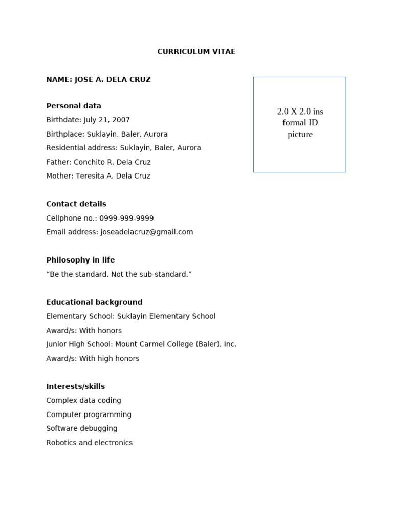 Template Curriculum Vitae | PDF