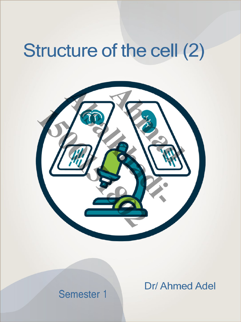 Structure Cell 21730550151532 | PDF