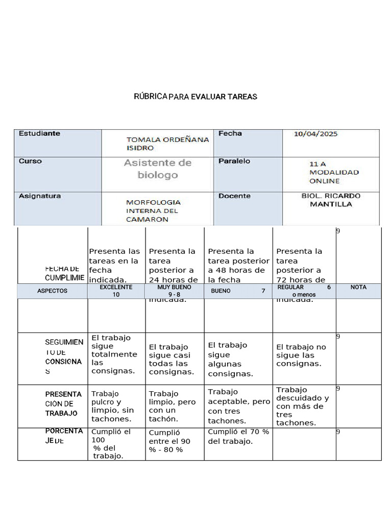 Practica Isidro Morfologia | PDF | Digestión | Sistema digestivo